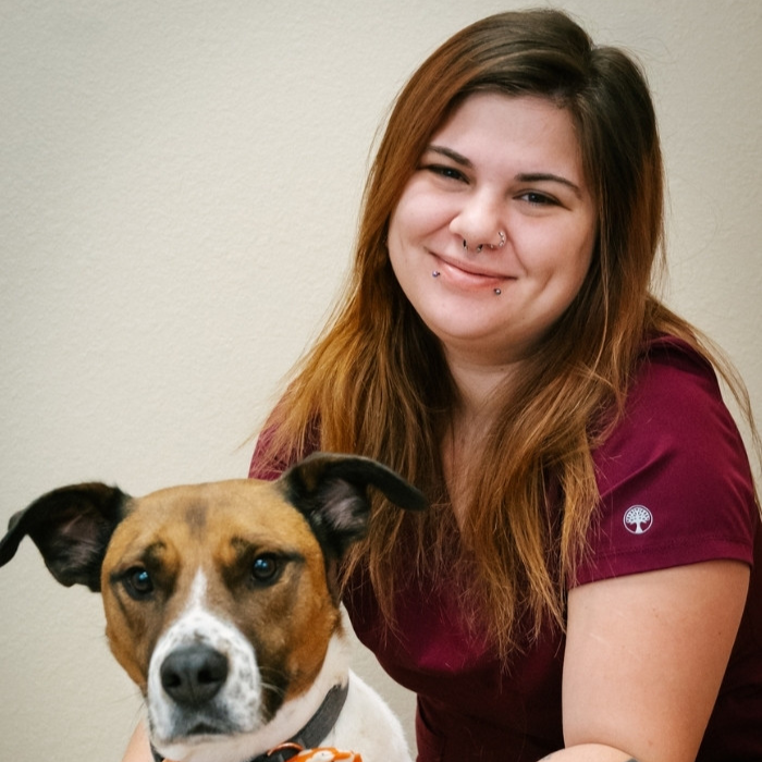 Waverly, IA Veterinary Jobs | Waverly Veterinary Clinic